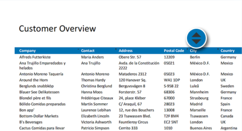 Report Designer for your users with no additional costs
