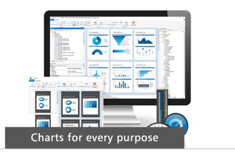 Reporting Tool for Delphi - List & Label