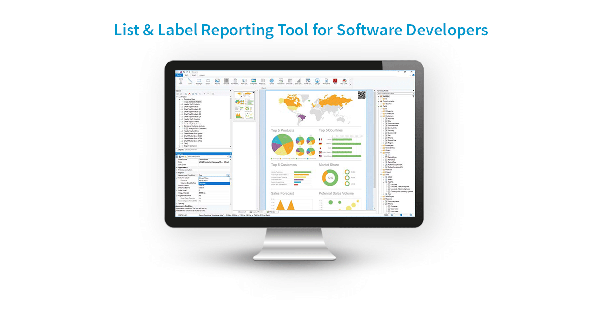 combit Software: Award-Winning Reporting Tool for Developers